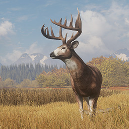 traping furbears and other animals - theHunter